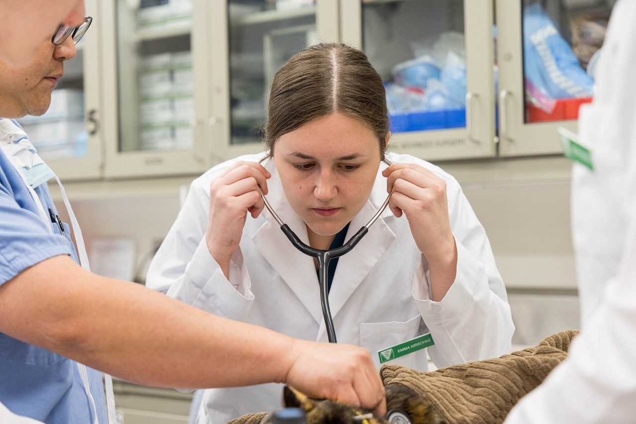 AVMA Accreditation Status and NAVLE Pass Rates | Doctor of Veterinary ... AVMA Accreditation Status and NAVLE Pass Rates | Doctor of Veterinary ...